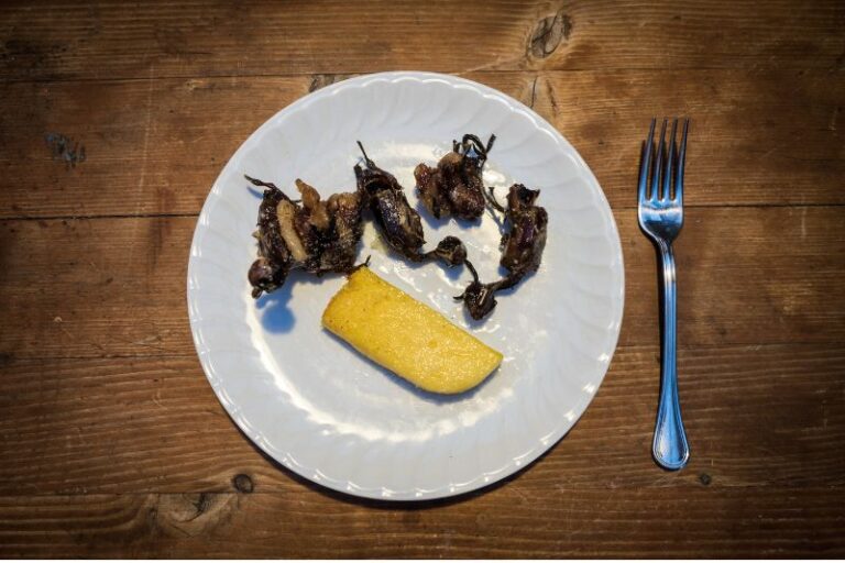 Typical Bergamo Dishes: What They Are and Why to Try Them